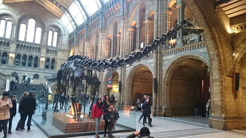 The Story of Dippy the Diplodocus – fossil Journeys